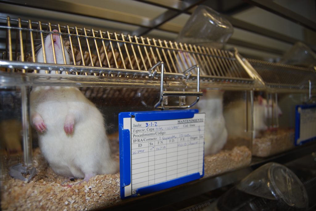 LA EXPERIMENTACIÓN ANIMAL: POR UNA CIENCIA MÁS ÉTICA Y EFICAZ - Unión ...